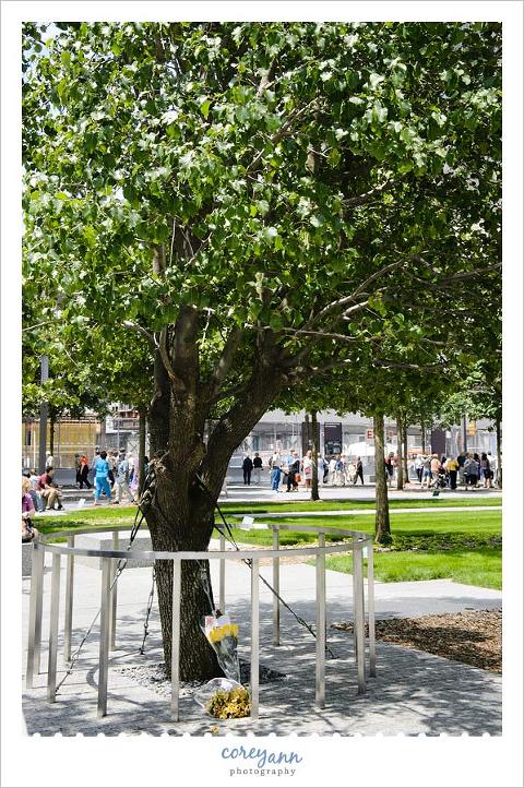 Travel • New York City • 9/11 Memorial - Corey Ann Photography
