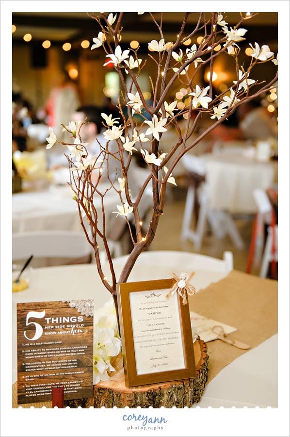 Pine View Acres Wedding with Lauren and David - Corey Ann Photography