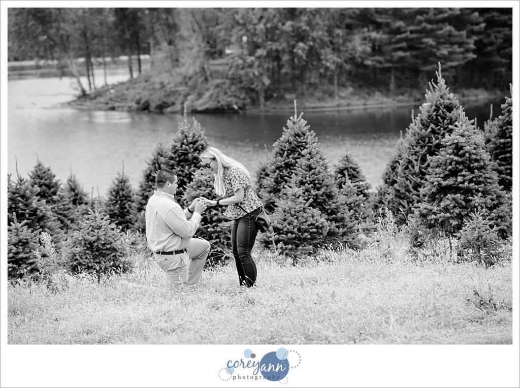 Pine Tree Barn Proposal with Molly and Matthew - Corey Ann Photography